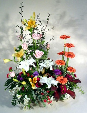 Floreria Maui. ALBORADA